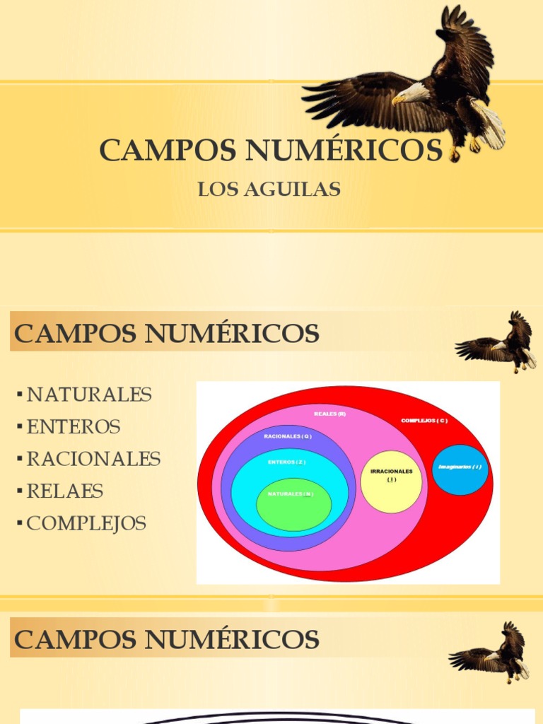 Campos Numericos | PDF | Número racional | Multiplicación
