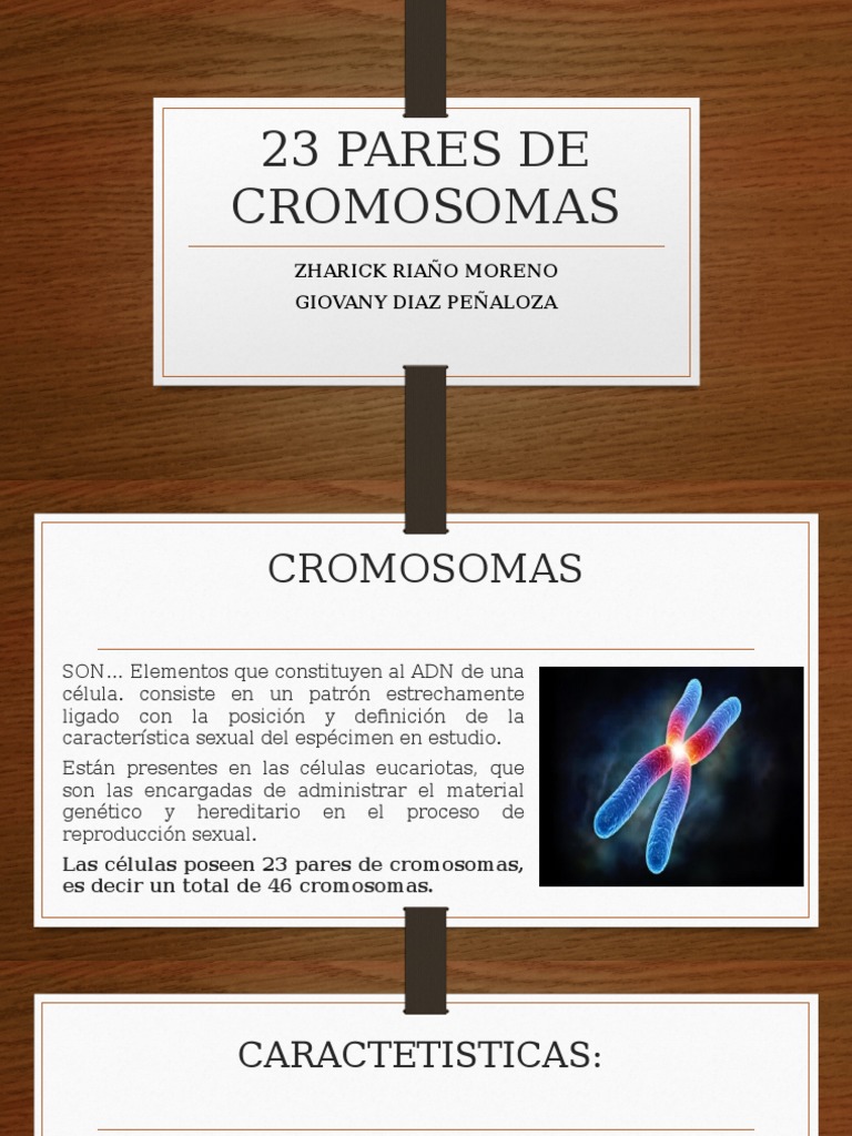 23 Pares de Cromosomas | PDF | Cromosoma | Gene