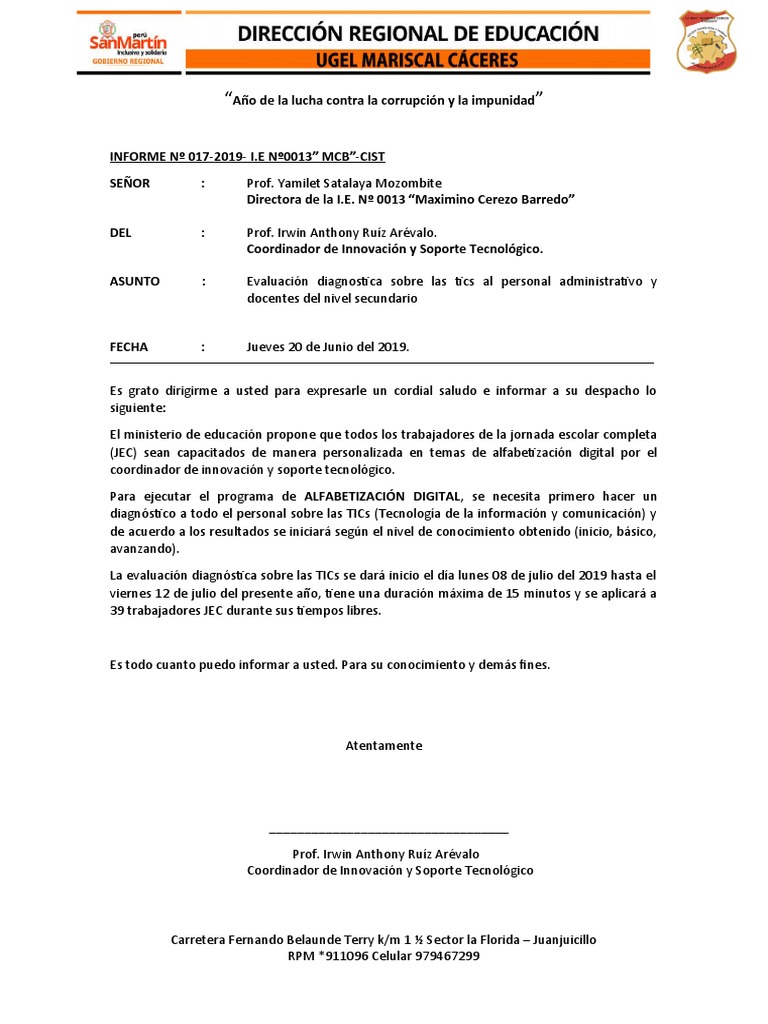 Informe 017 de Direcc. CIST 2019 Evaluación Diagnóstica Tics 2019 | PDF
