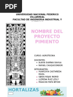 Proyecto de Locote en Paraguay | PDF | Pimiento | Economias