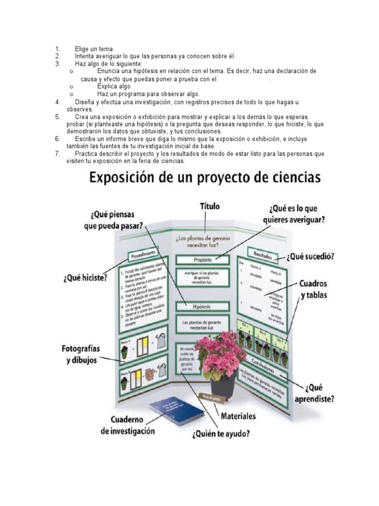 Proyecto de Ciencias para Primer Grado | PDF | Ciencia y matemáticas ...