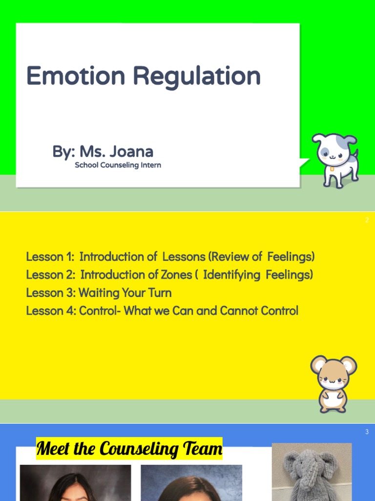 Emotion Regulation Lesson Presentation