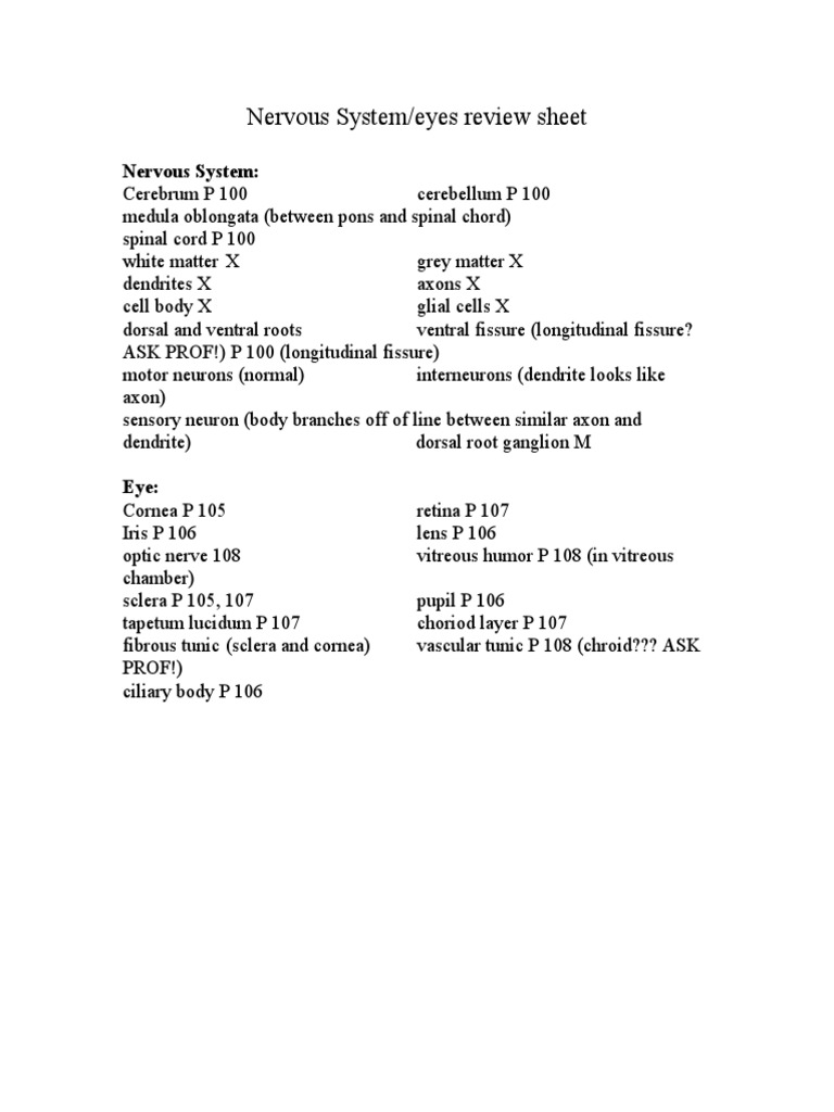 Nervous System, Eye Models | PDF | Foreign Language Studies | Science ...