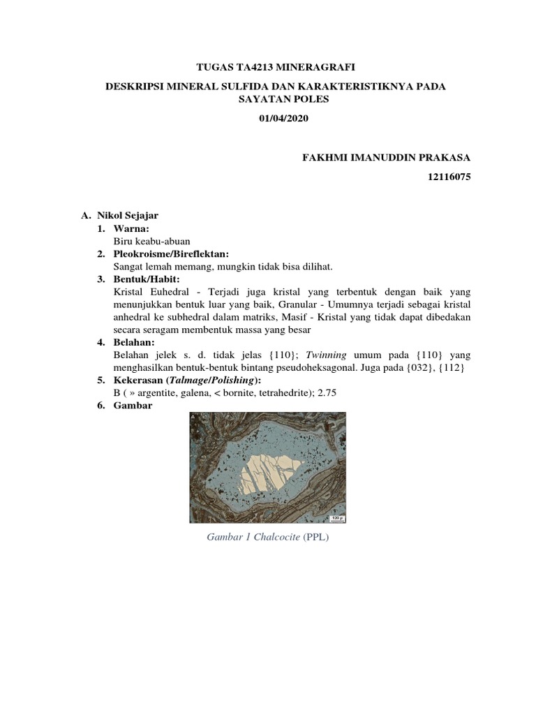 Praktikum Mineragrafi | PDF | Sains & Matematika