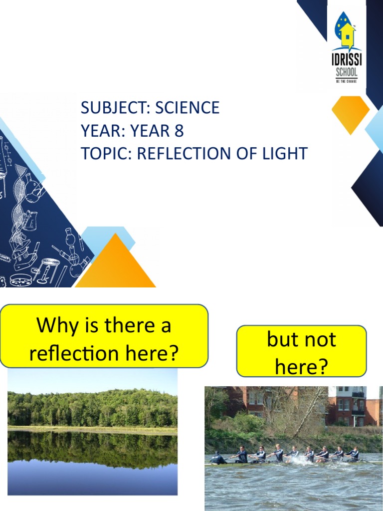 Reflection of Light in Year 8 Science | PDF | Reflection (Physics) | Mirror