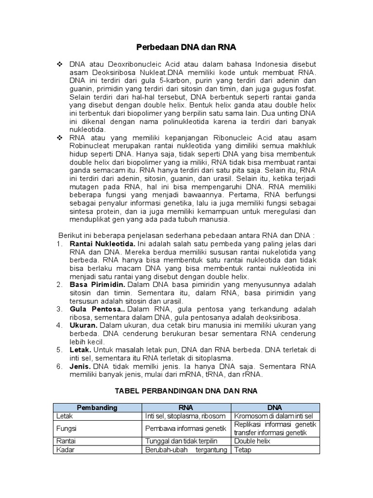 Tabel Perbandingan Dna Dan Rna Pembanding RNA DNA | PDF