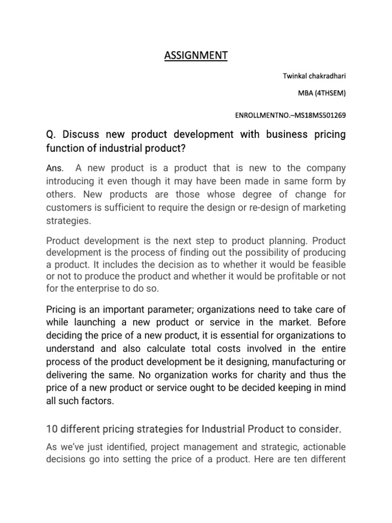 New Product Development Assignment | PDF