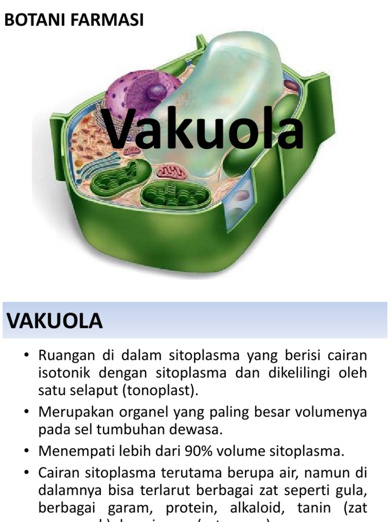 Vakuola | PDF
