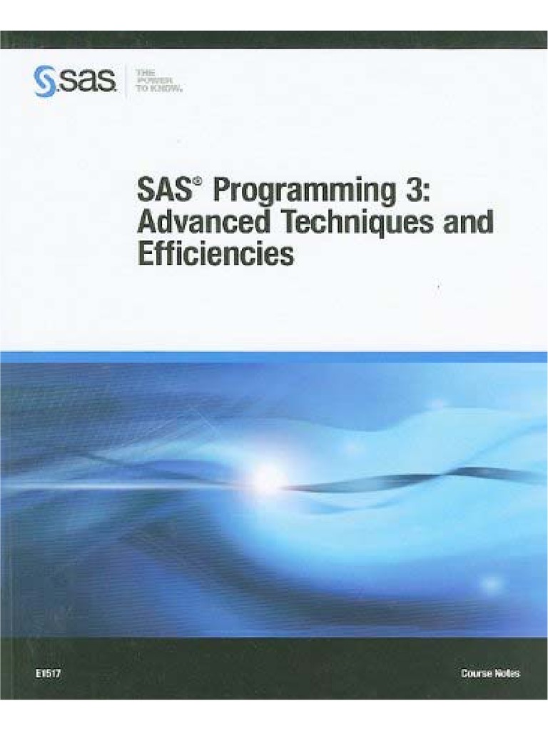 SAS Programming 3 Advanced Techniques and Efficiencies | PDF | Computer ...