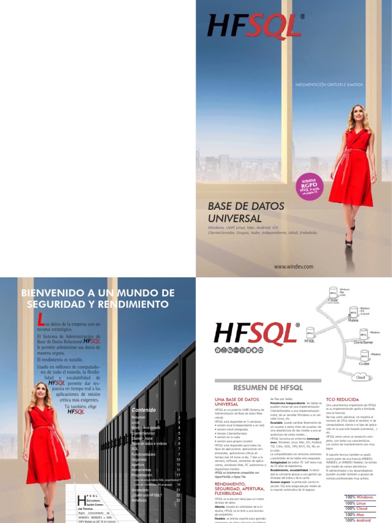 HFSQL ES | PDF