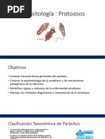 Protozoos Sarcodinos G5 | PDF | Organismos | Biología
