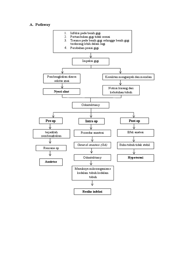 Pathway Impaksi | PDF