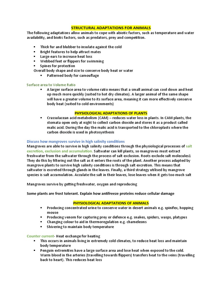 Structural Adaptations For Animals: Surface Area To Volume Ratio | PDF ...