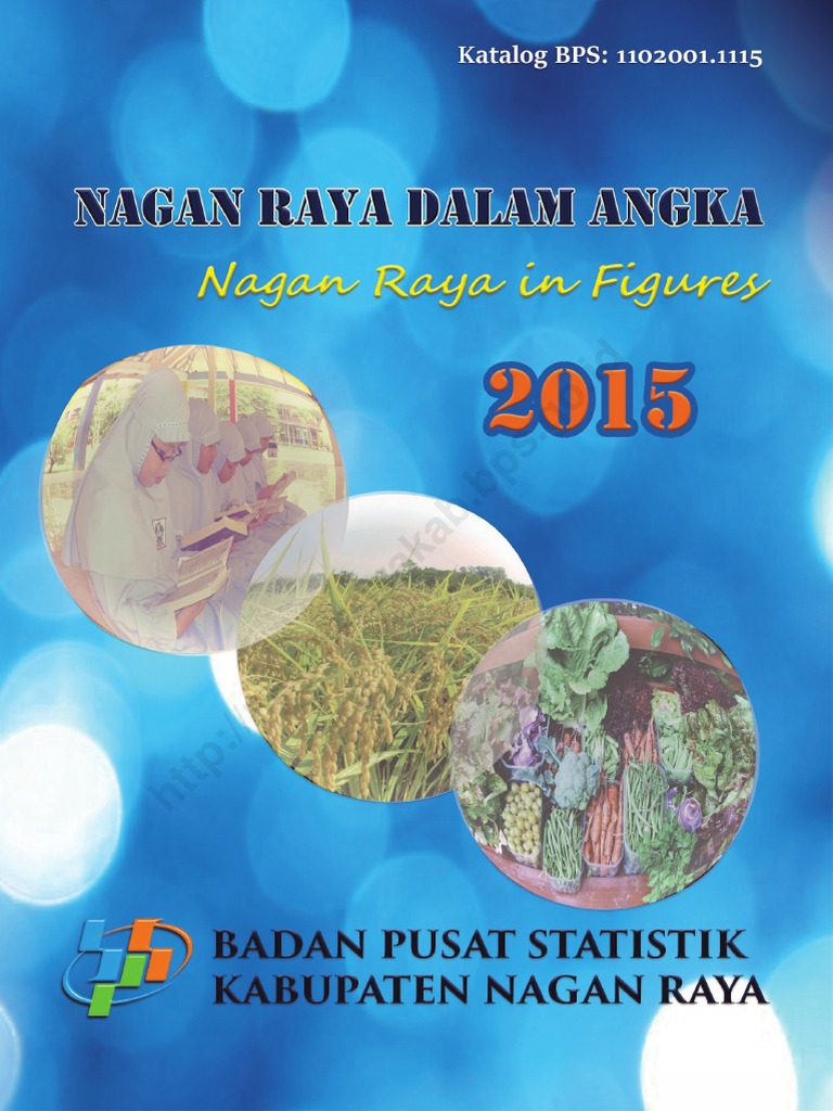 Nagan Raya Dalam Angka 2015 PDF | PDF