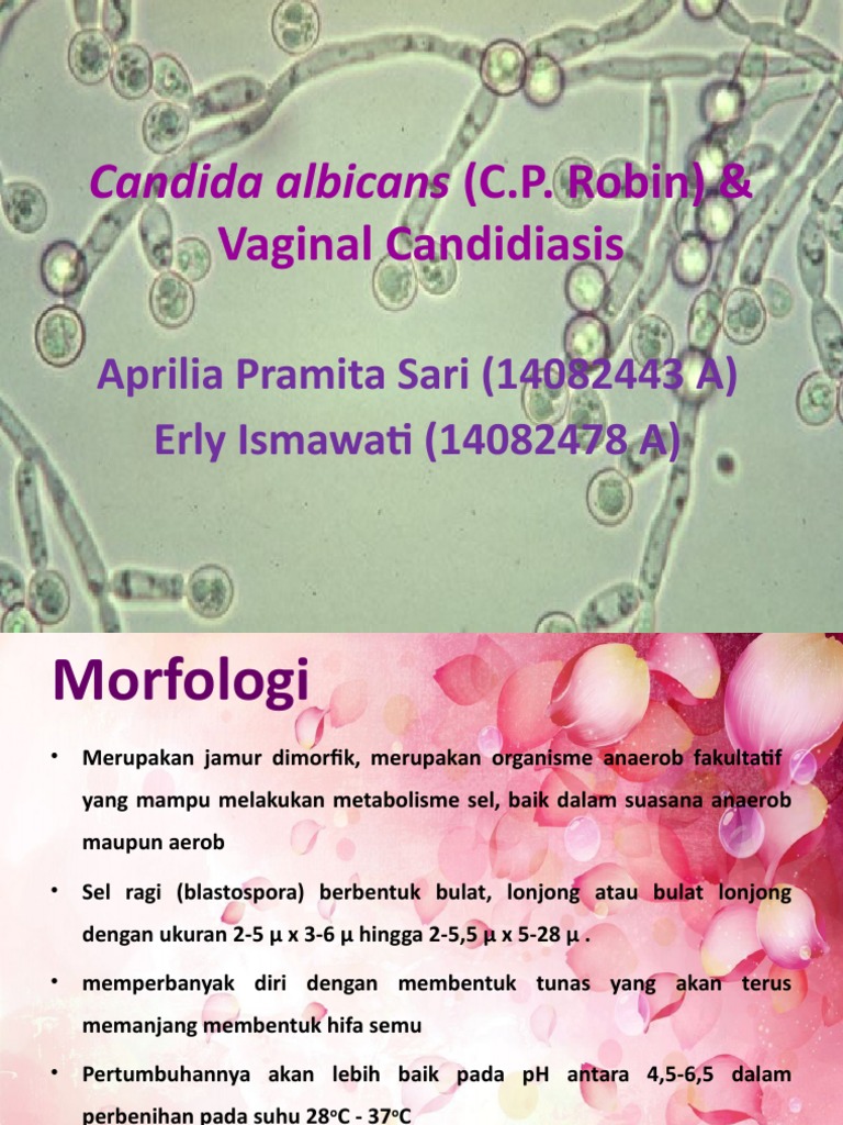 Candida Albicans | PDF | Anatomi Seksual | Ilmu Kesehatan