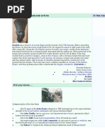 Daily Bing Rewards Activities Summary | PDF