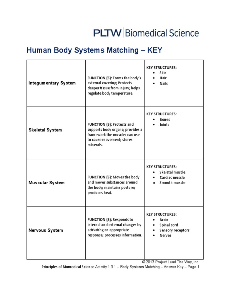 Human Body Systems Matching - KEY: Integumentary System | PDF | Human ...