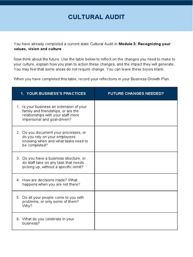 Cultural Audit: Values, Vision and Culture | PDF | Value (Ethics ...