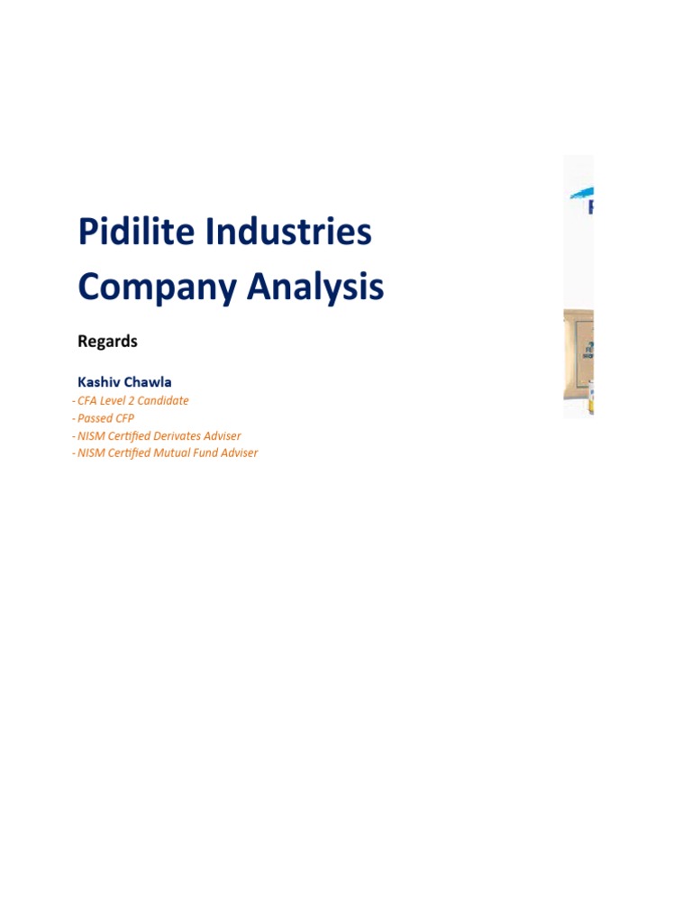 Pidilite Industries Financial Model | PDF | Equity (Finance) | Income Statement