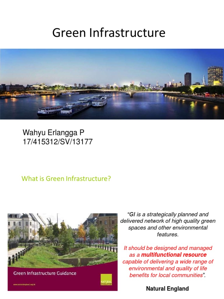 Green Infrastructure | PDF