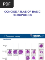 Blood Film Comment and Analysis Guide | PDF | Anemia | White Blood Cell
