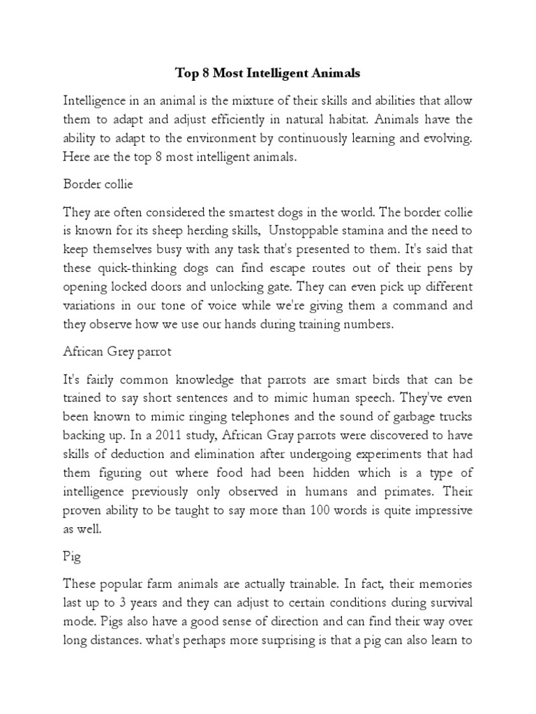 Research Based Article On Wildlife | PDF | Chimpanzee | Collie