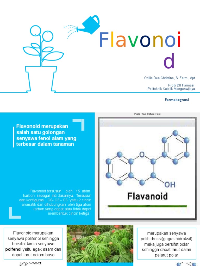 Farmakognosi Flavonoid | PDF