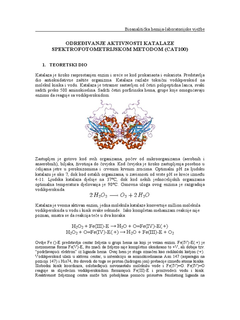 Katalaza PDF | PDF