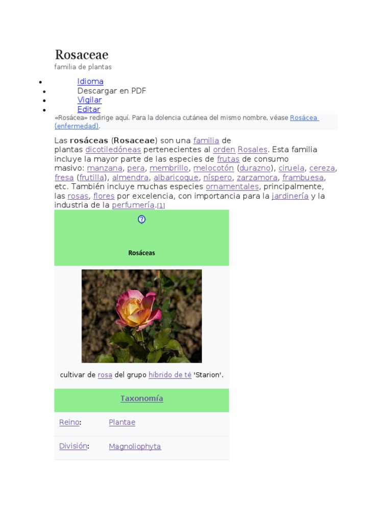 Rosaceae: Diversidad y Usos de la Familia Botánica | PDF | Plantas ...
