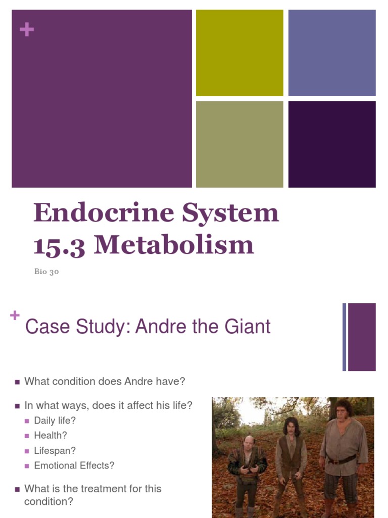 1 15 3 Feedback Loops HGH PDF | PDF | Growth Hormone | Negative Feedback