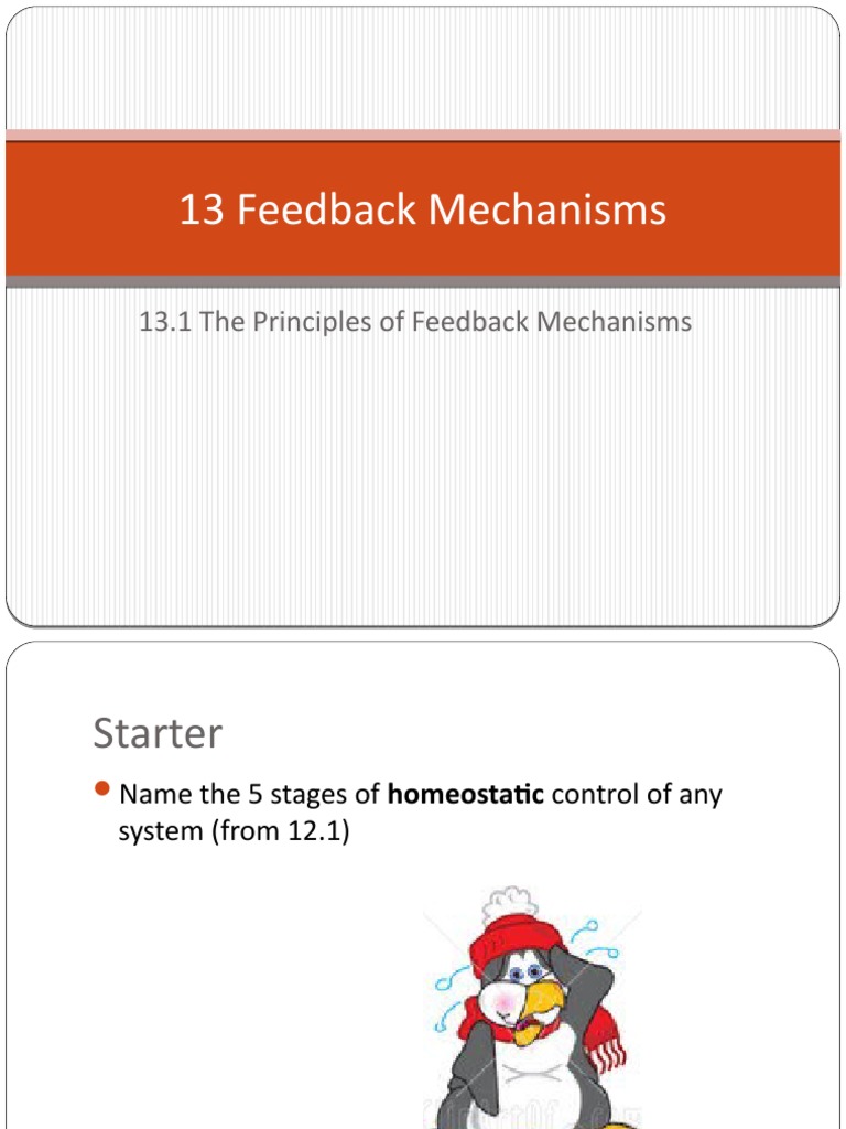 Feedback Mechanisms in Homeostasis | PDF | Homeostasis | Negative Feedback