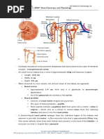 Label The Nephron Worksheet | PDF