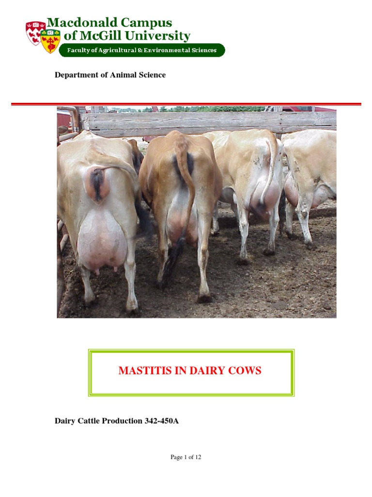 Department of Animal Science: Mastitis in Dairy Cows | PDF