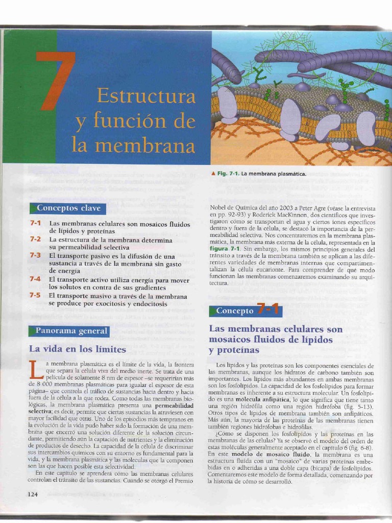 Campbell y Reece Biologia General PDF | PDF