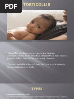 Sitting Balance Scale | PDF | Anatomical Terms Of Motion | Shoulder