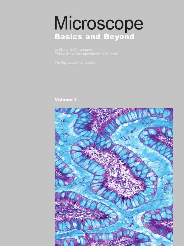 Microscopy) Microscope - Basics and Beyond | PDF | Eye | Refraction