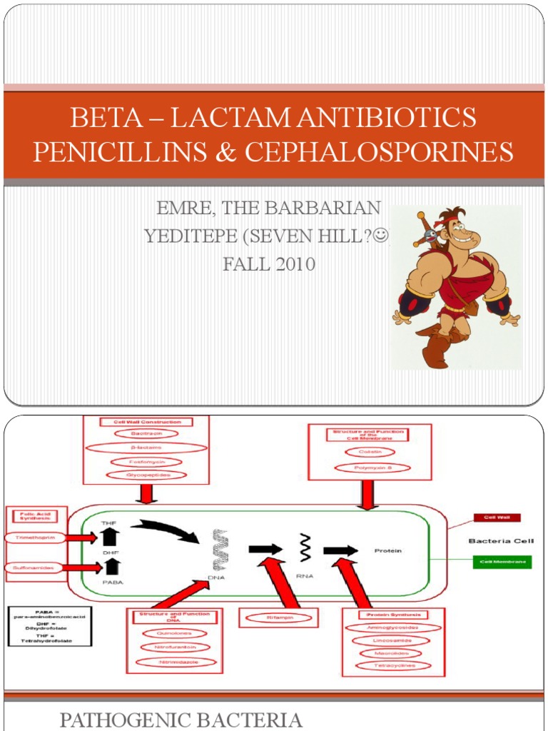 Beta - Lactam Antibiotics | PDF | Network Protocols | Penicillin