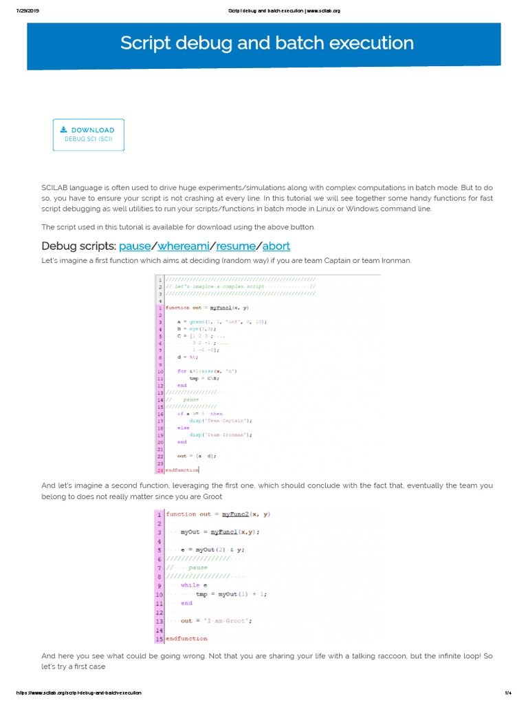Script Debug And Batch Execution Pdf Debugging Computing