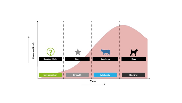 BCG Matrix Graphical Style | PDF