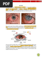Uso y Precauciones de Dexametasona-Tobramicina | PDF | Medicamentos con ...
