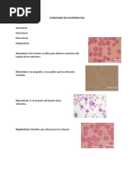 CODOCITOS | PDF | Glóbulo rojo | Sangre