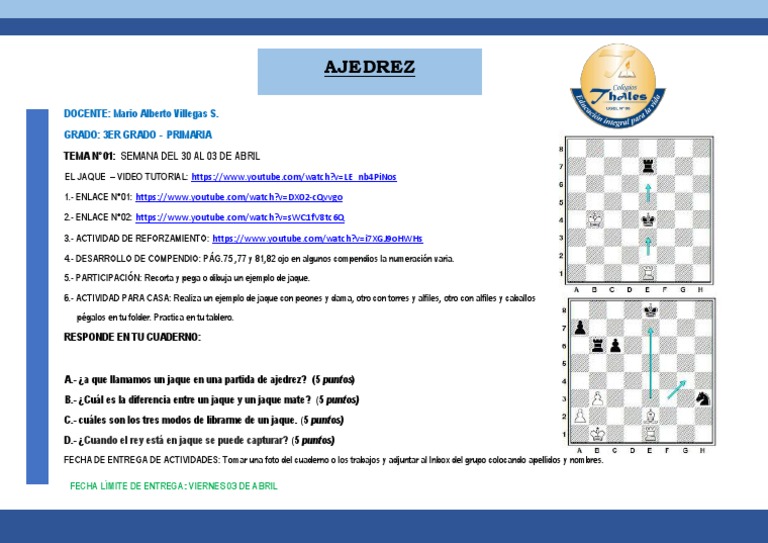 Aprende el jaque en ajedrez | PDF