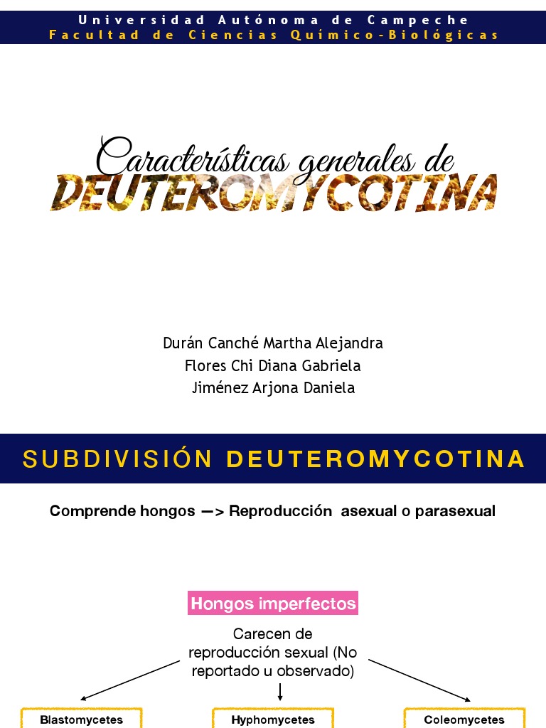 Deuteromycotina | PDF | Hongo | Eucariotas