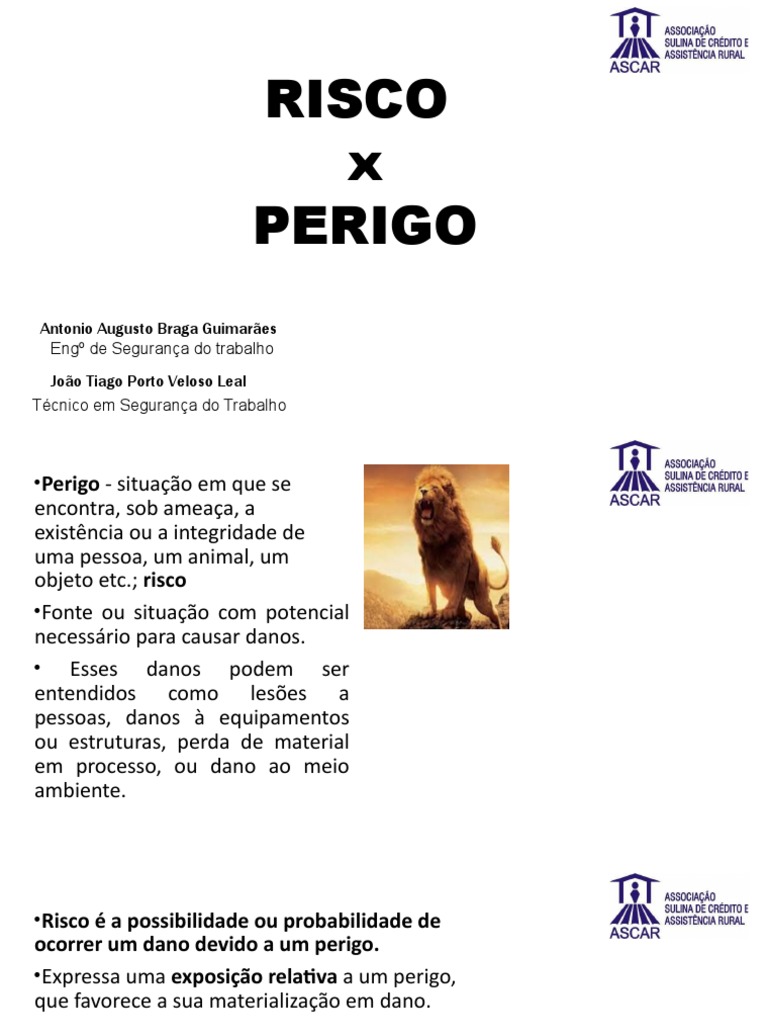 RISCO X PERIGO Apresentação | PDF