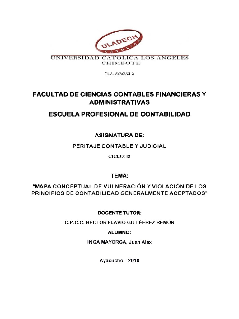Peritaje Contable-Mapa Conceptual - Vulneracion Pcga - Juan - Alex - Inga - Mayorga PDF | PDF ...