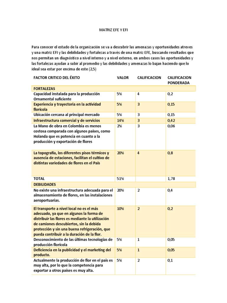 Matriz Efe y Efi | PDF | Marketing | Business