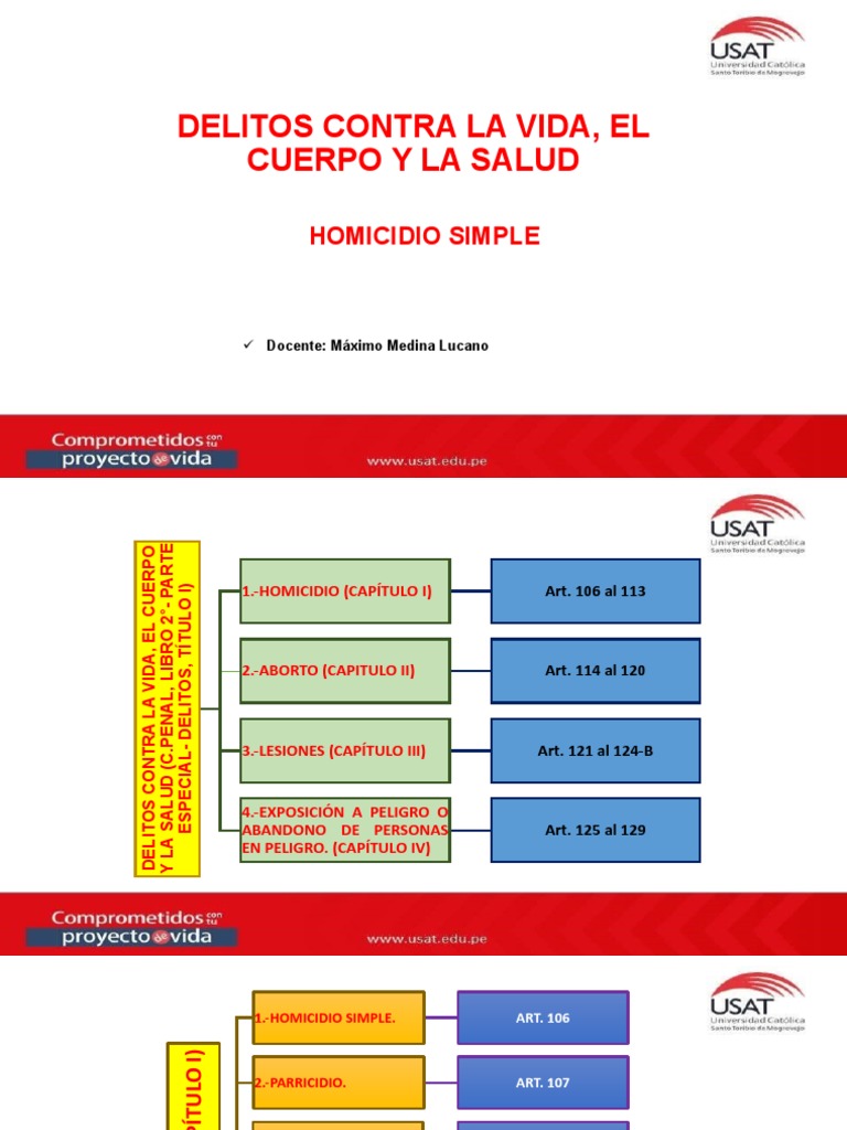Homicidio Simple | PDF | Intención (Derecho Penal) | Causalidad (Ley)