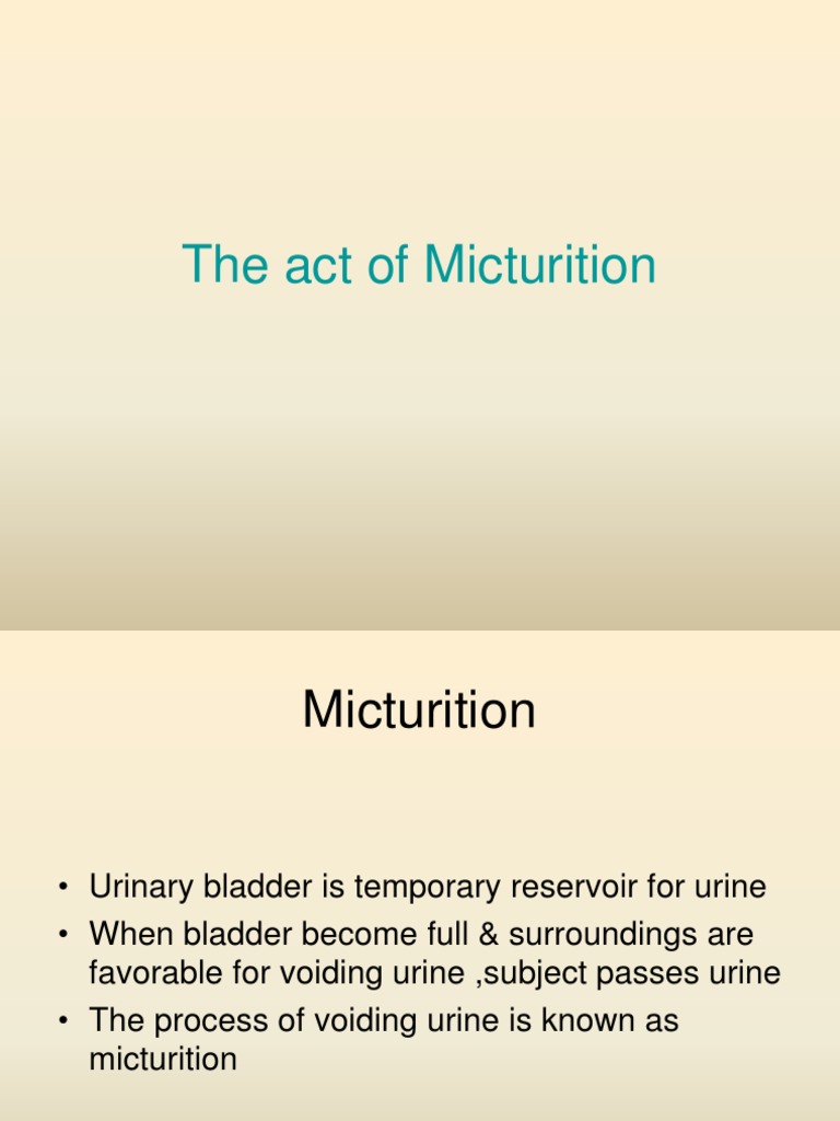 Physiology of Micturition Reflex PDF | PDF | Urination | Urinary Bladder