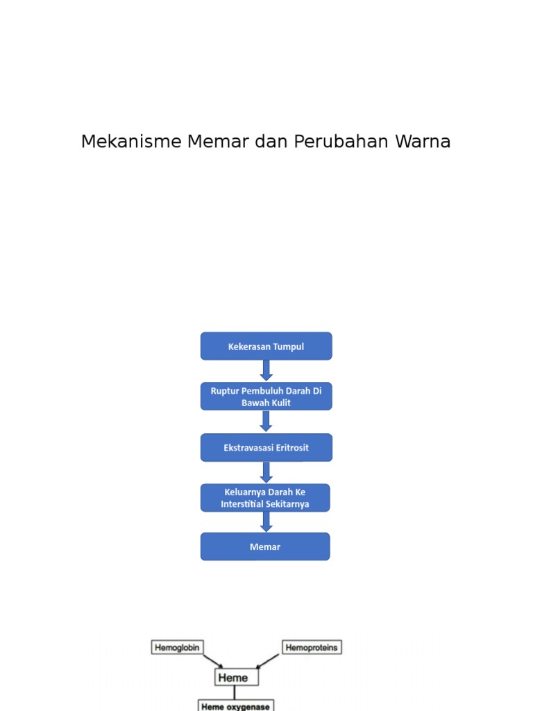 Mekanisme Memar Dan Perubahan Warna | PDF