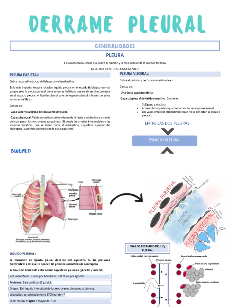 DP - Miniresumen Bluemed | PDF | Pulmón | Medicina CLINICA